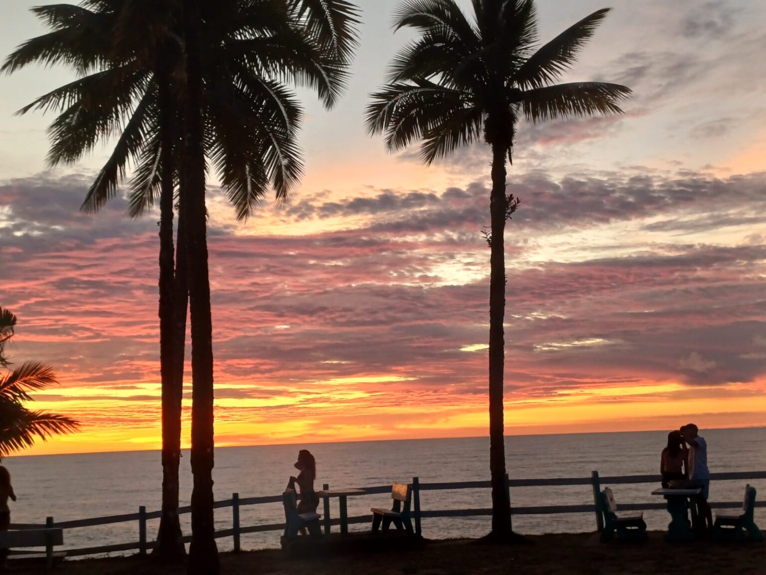 Plan Tour al Pacifico Colombiano – TURIS PACIFICO COLOMBIA