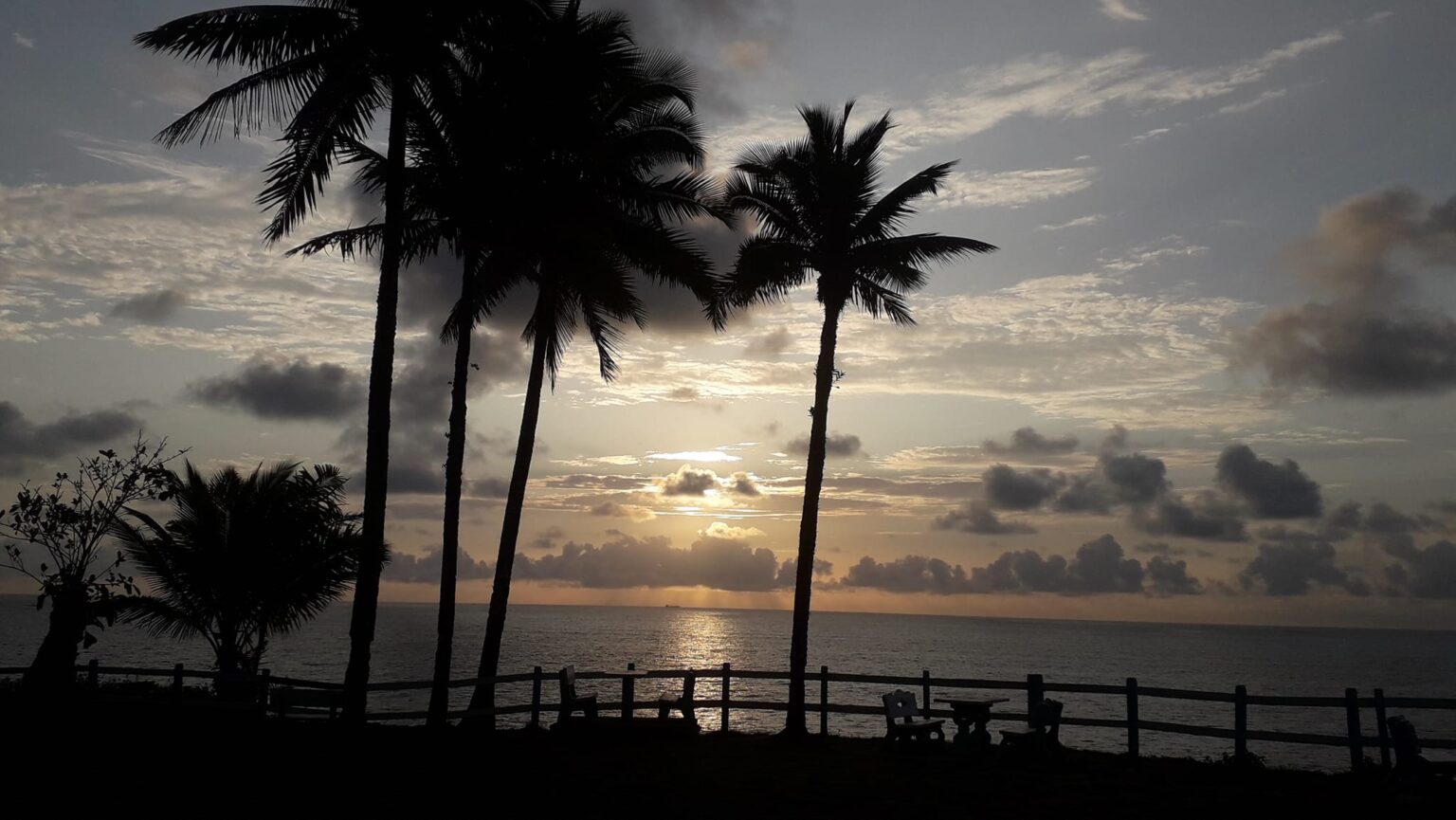 Plan Tour al Pacifico Colombiano – TURIS PACIFICO COLOMBIA